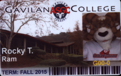 What Is My Library Card Number 